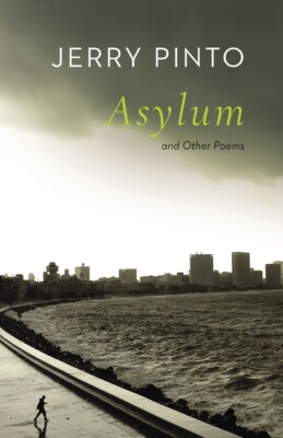 Asylum And Other Poems | eBay