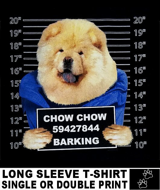 Funny Chow Memes Mr Chow Memes & GIFs Imgflip