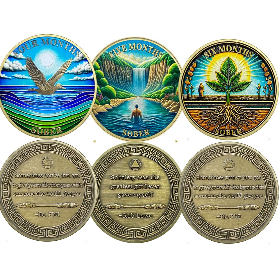 1-12 Months AA Sobriety Coin AA Chips Recovery Sobriety Gifts One Year ...