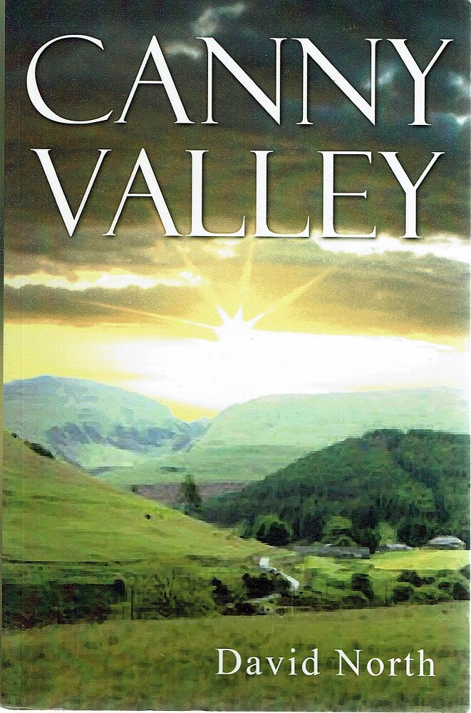 Canny Valley by David North (Paperback, 2012) for sale online | eBay