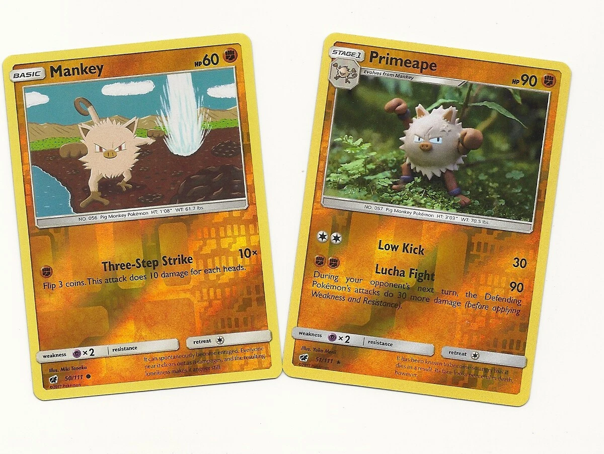 Mankey Pokemon Evolution