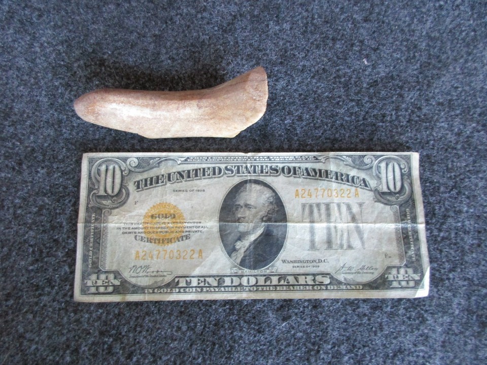 QUARTZ NATIVE AMERICAN BIRDSTONE, INDIAN BIRDSTONE WITH COA, #DAY-02253 ...