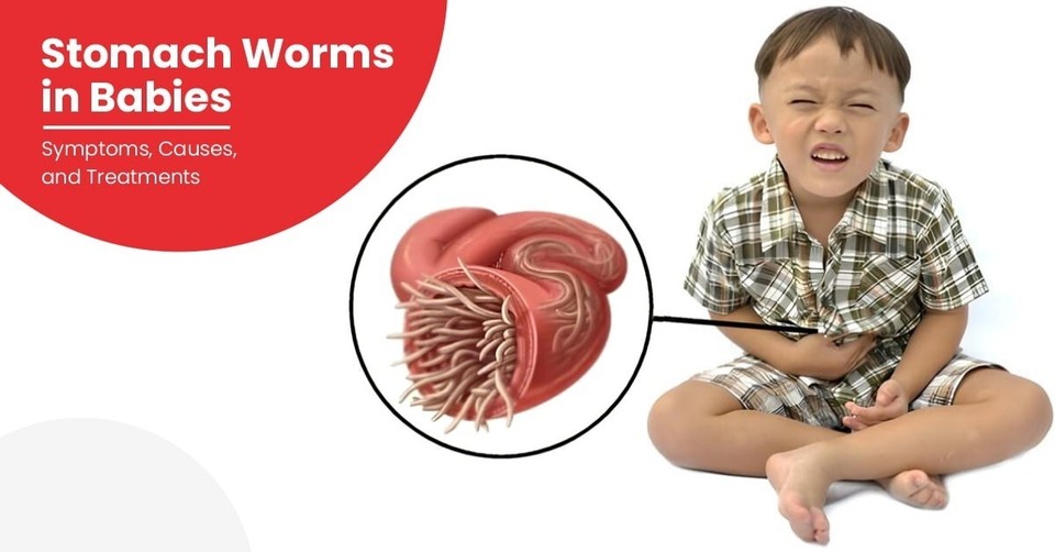 Permanent Treatment For Hookworm, Roundworm, Tapeworm Removal Tablets ...