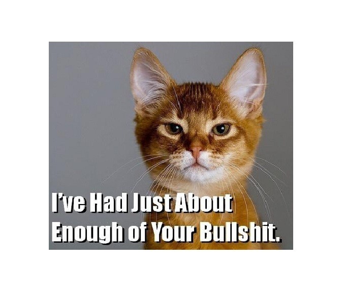 999 - Funny Cat Meme BS Humor Fridge Refrigerator Magnet | eBay