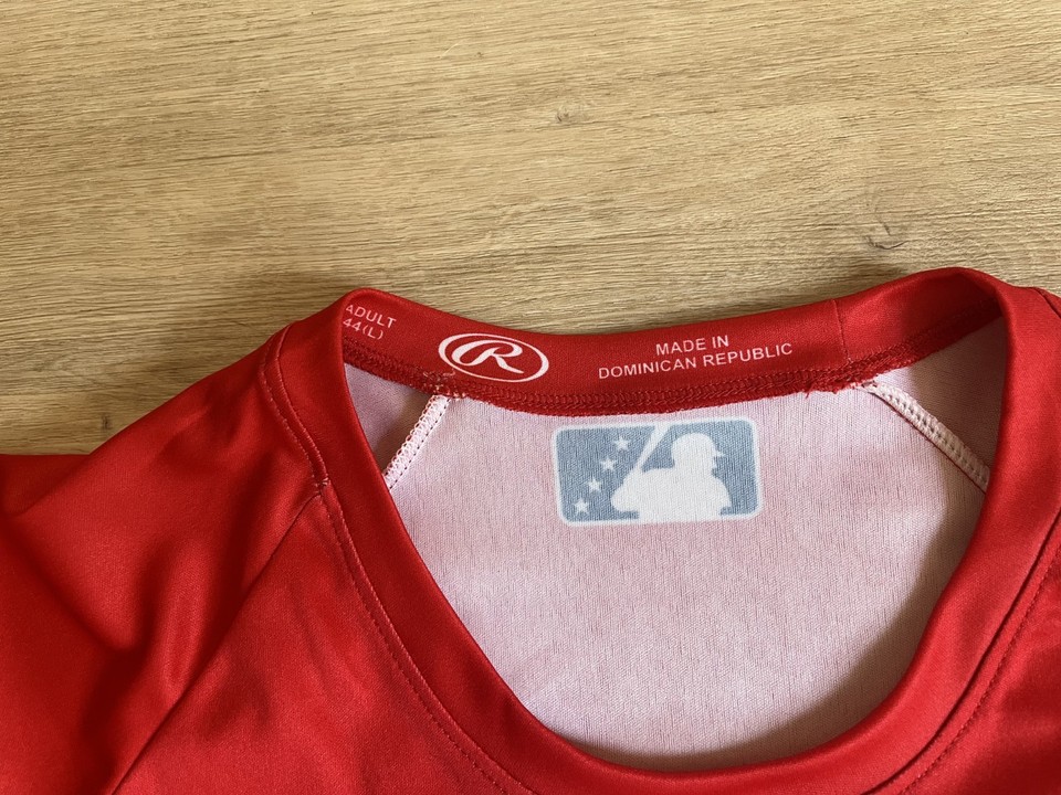 #53 Game Used Worn Portland Sea Dogs Short Sleeve BP Jersey Red Sox | eBay