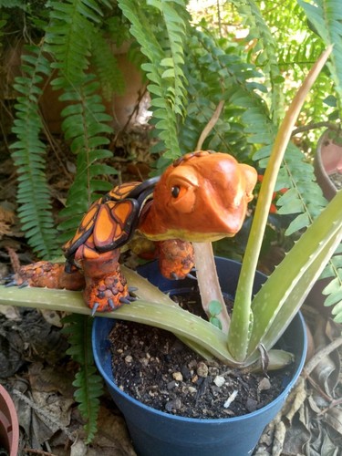 Clay handmade box turtle,decorative turtle, tortoise art figurine ...