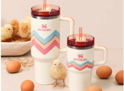 Stanley 2025 Easter 40oz Tumbler | eBay