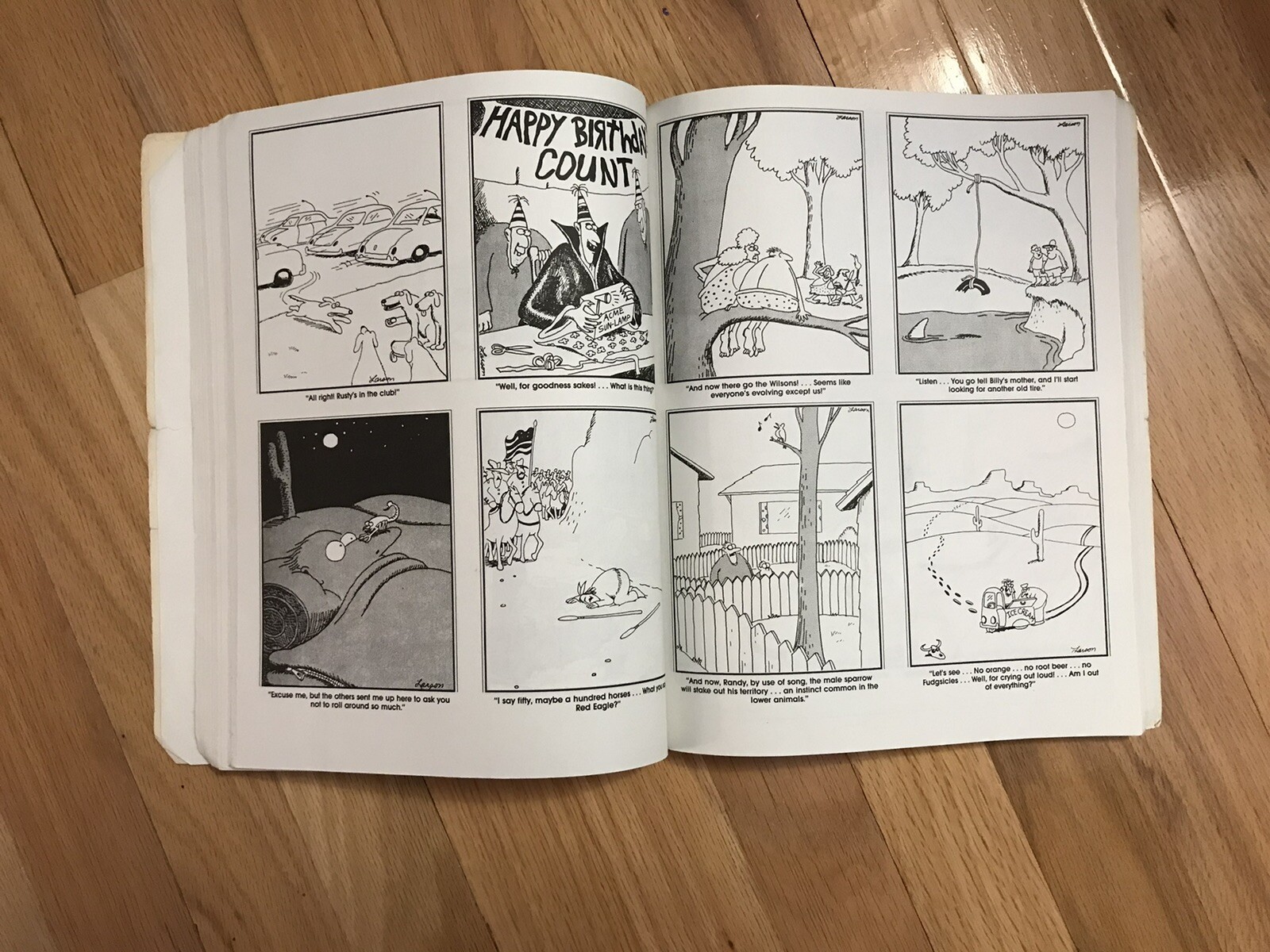 The Far Side Gallery Gary Larson Paperback Good Condition | eBay