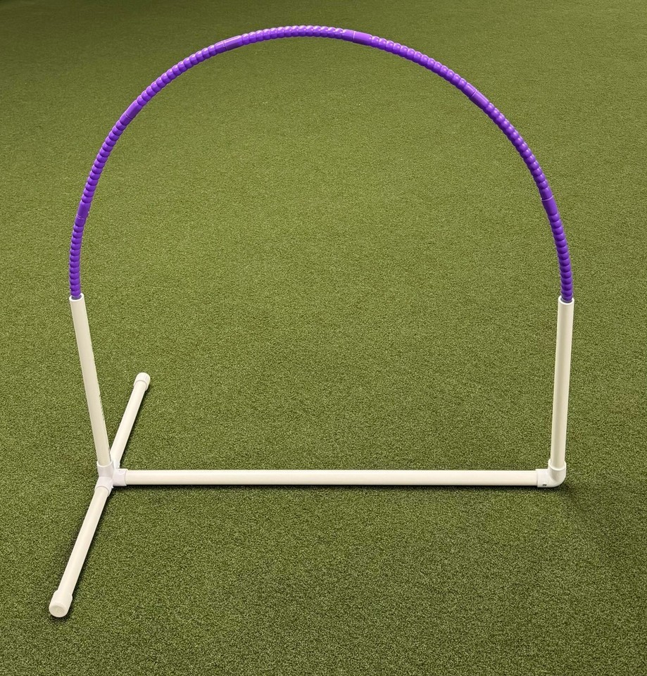NADAC, CPE Speedway, or UpDog Arched style Hoop - 8 Colors Avail FREE ...