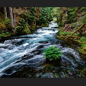 Treasure Each Day | eBay Stores