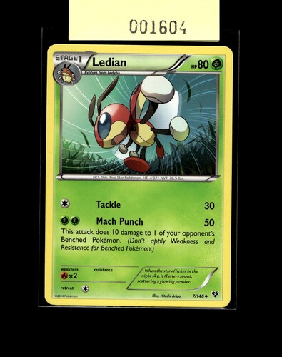 XY Base Set #7/146 Ledian | eBay