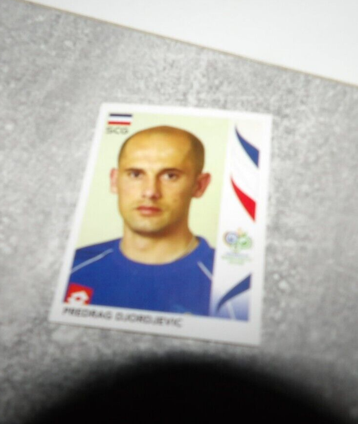 Panini Sticker Fußball WM 2006 Nr. 215 Predrag Djordjevic Serbien und ...