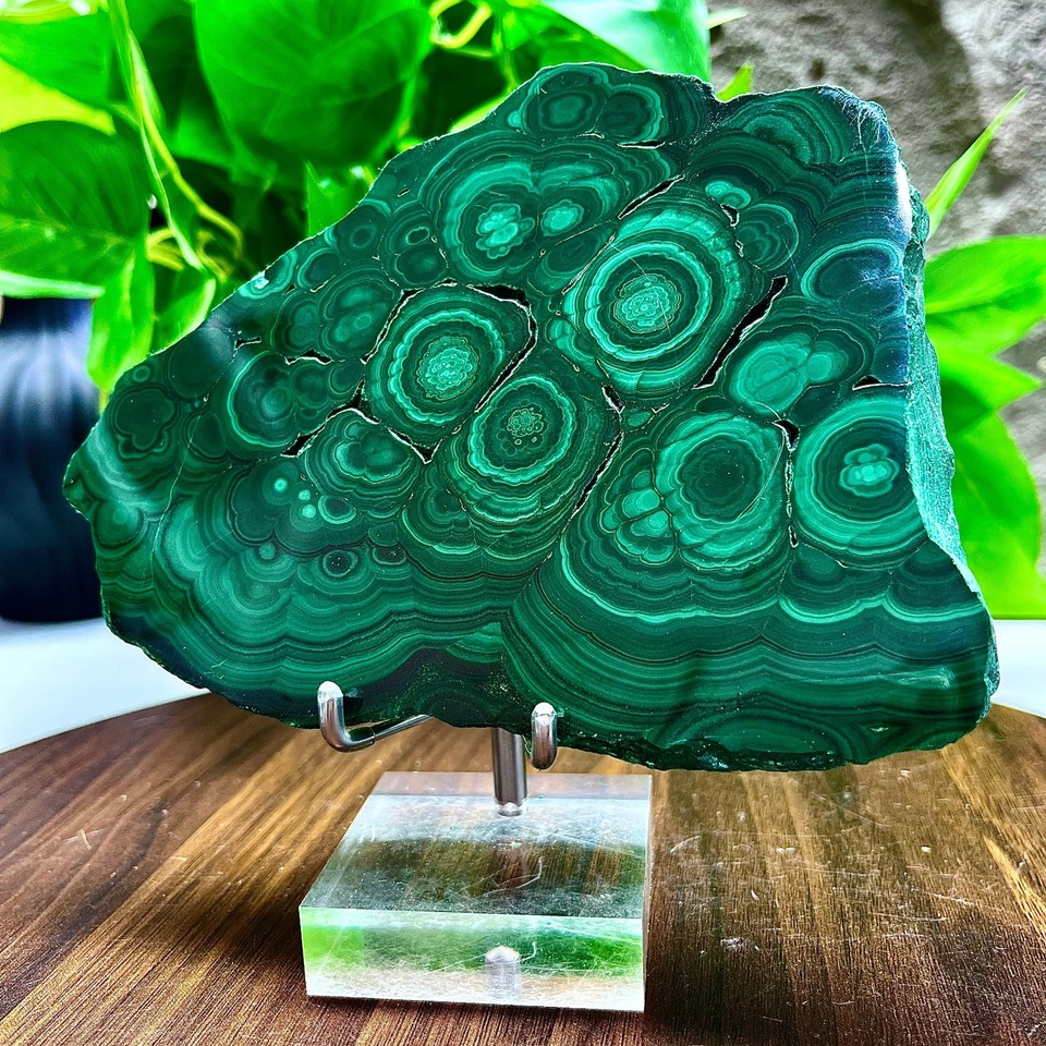 1.4LB green peacock stone quartz specimen | eBay Australia