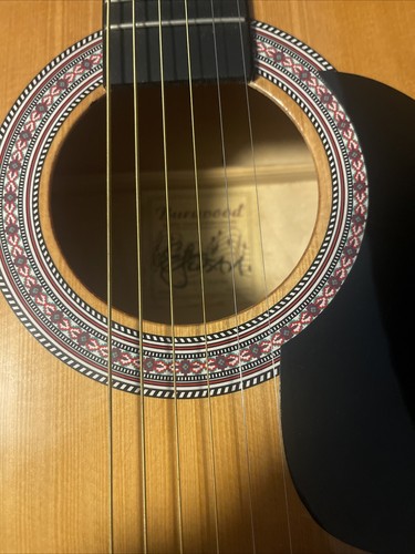 BURSWOOD ESTEBAN SIGNED CLASSIC ACOUSTIC DREADNOUGHT GUITAR + PADDED ...