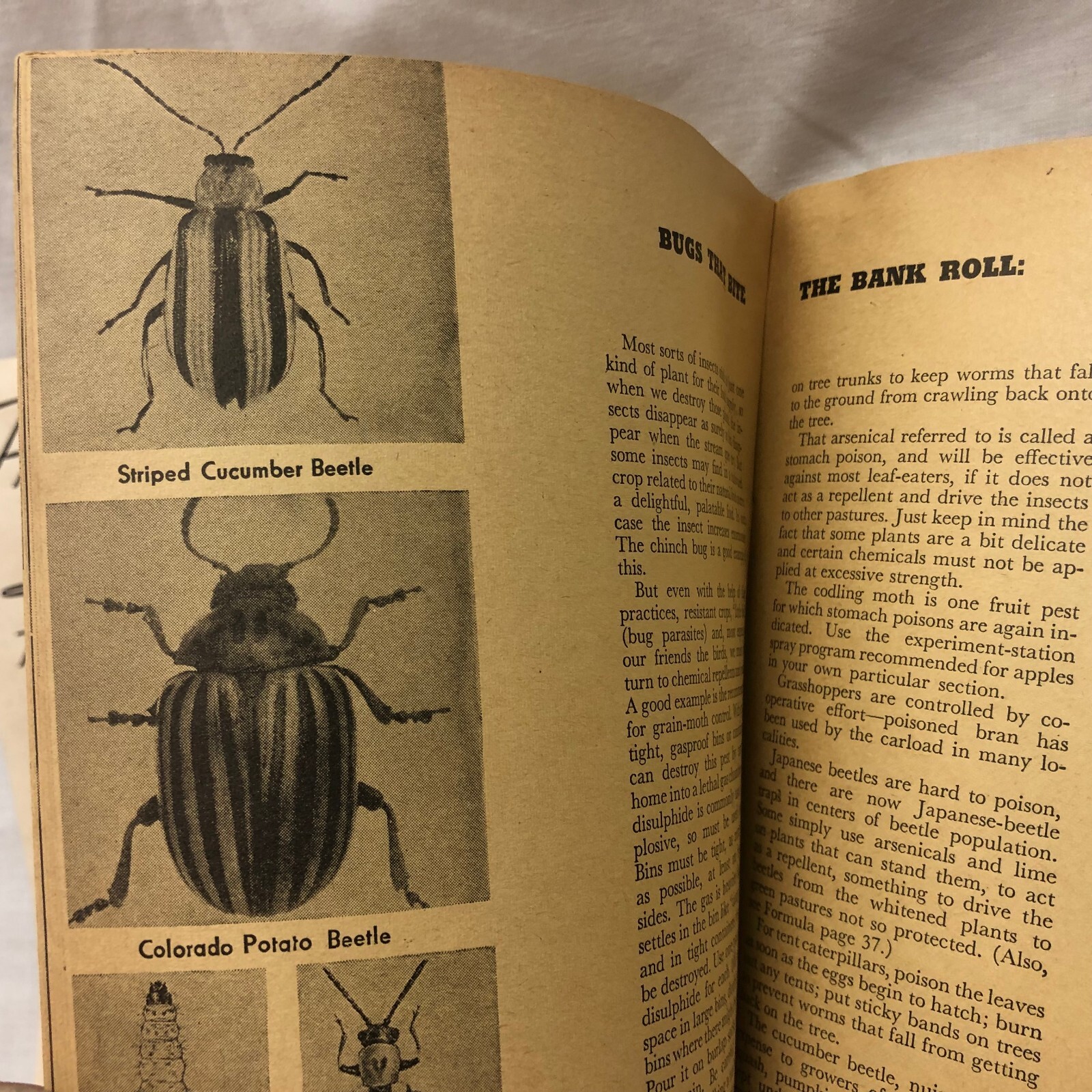 Vintage 1941 Successful Farming Booklet | eBay