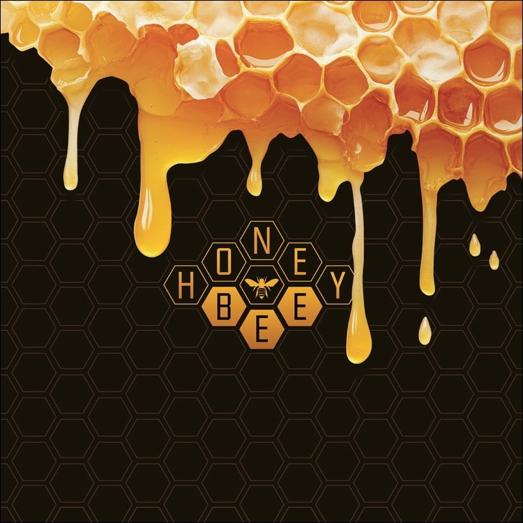 Niue 2025 HONEY BEE & Hive $1 Troy Oz Pure Silver GILDED BLACK PROOF ...