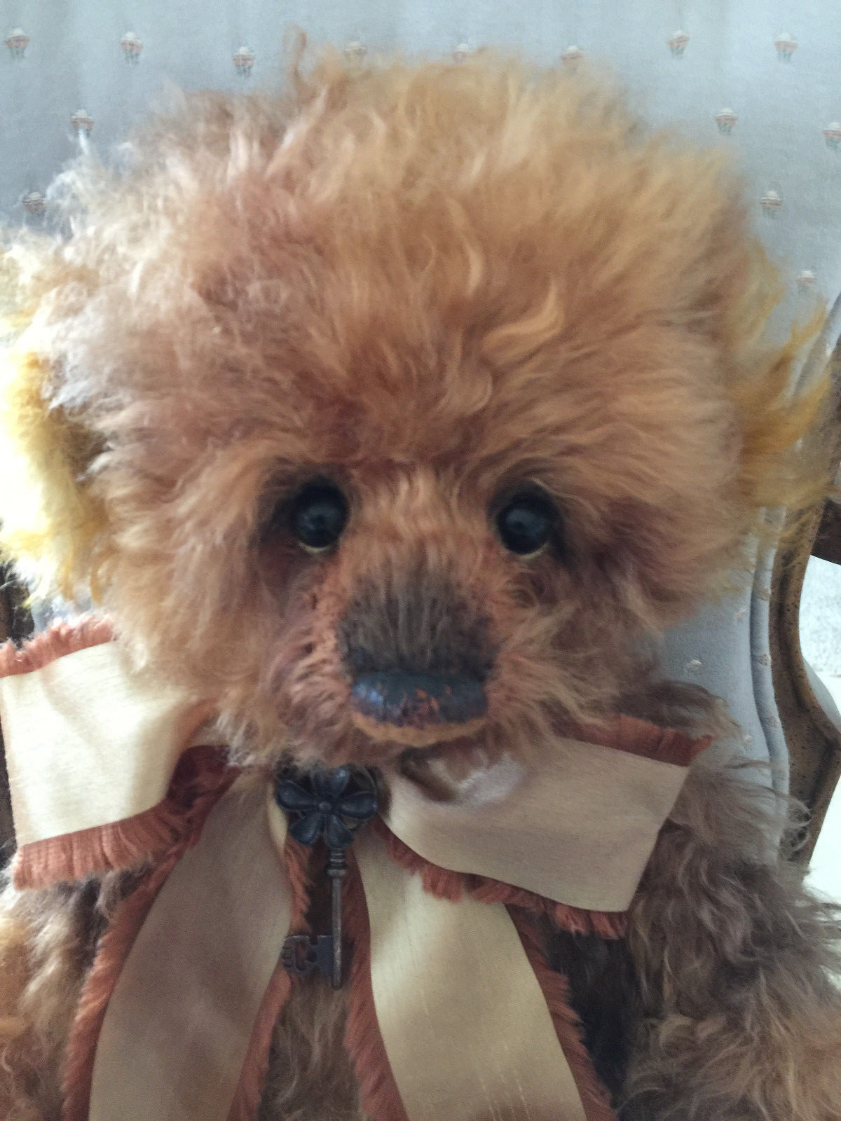 Charlie Bears PRINCE 2016 Isabelle Mohair Collection FREE US SHIP | eBay