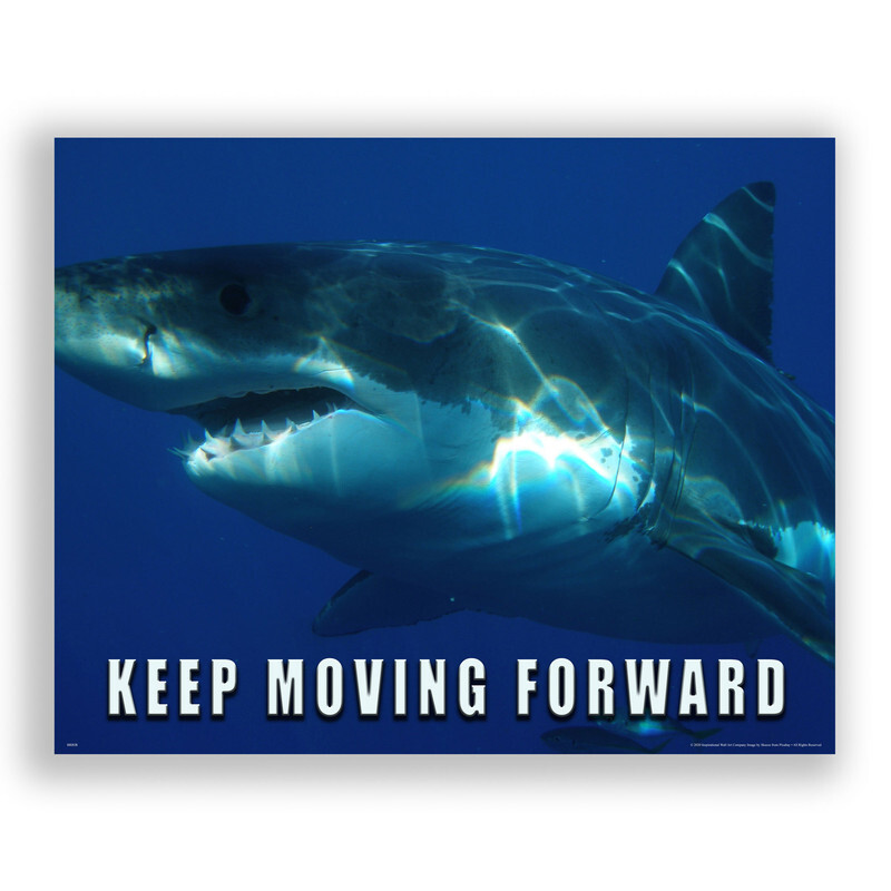 Save The Sharks Poster Campaign: Shark Free Weddings Hong Kong Shark