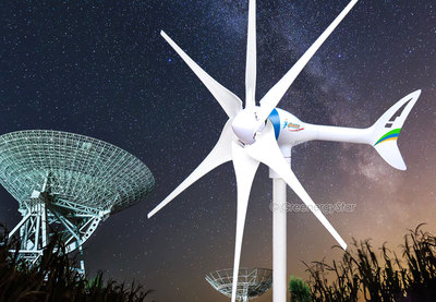 Apollo MAX 800 W Watt 12 V DC Magnet PMA Wind Turbine Generator 6Blade ...