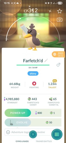 Pokémon Shiny Galarian Farfetch'd ( XXL ) GO | eBay