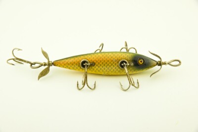 Other - Shiner Scale