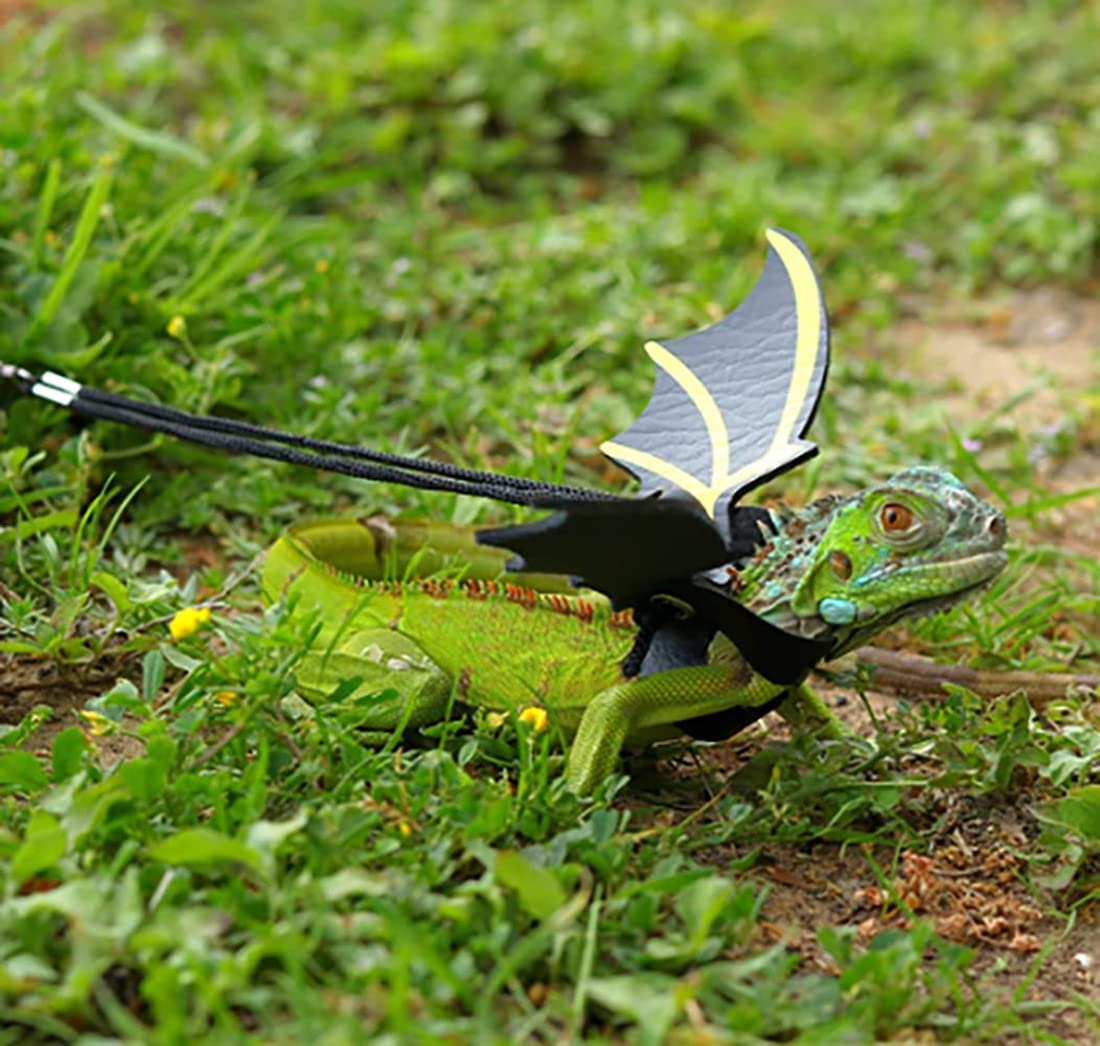 Adjustable Lizard Leash Bearded Dragon Harness Cool Leather Wings ...