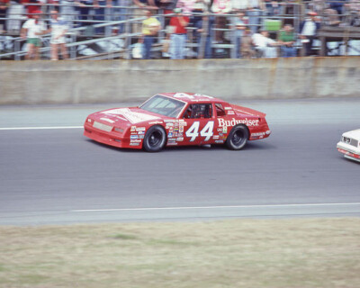 1983 Budweiser Chevrolet TERRY LABONTE Glossy 8x10 Photo Daytona 500 ...