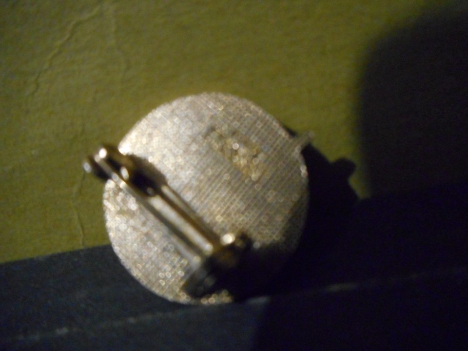 Voice of the Handicapped Lapel Pin | eBay