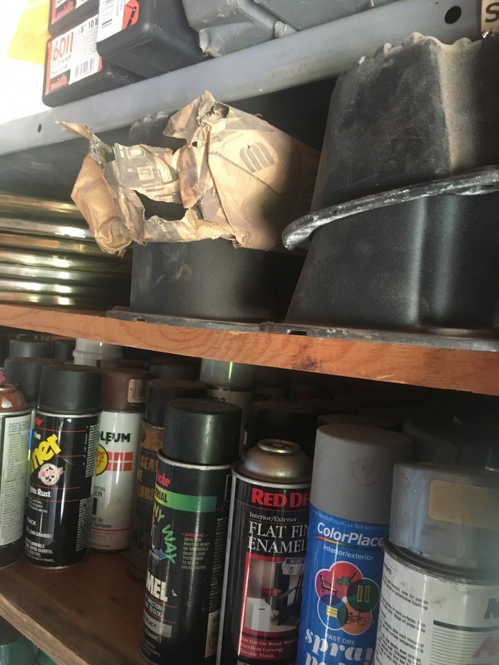 Vintage Mustang Cal Custom Ford 302/351 Winsor Finned aluminum Valve ...