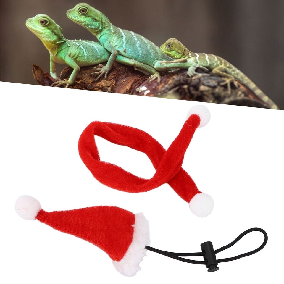 Lizard Hat Decor Crawling Pet Decorative Costume Bearded Dragon ...