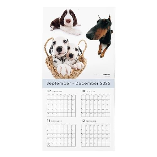 THE DOG 2026 Wall Calendar Large Size Trio [Dalmatian/Doberman/English ...