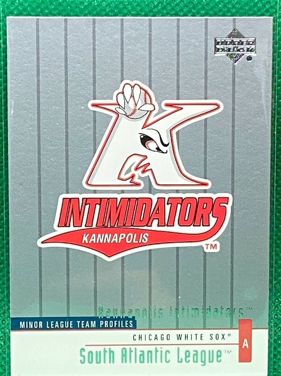 2002 Upper Deck Minor League Kannapolis Intimidators | eBay
