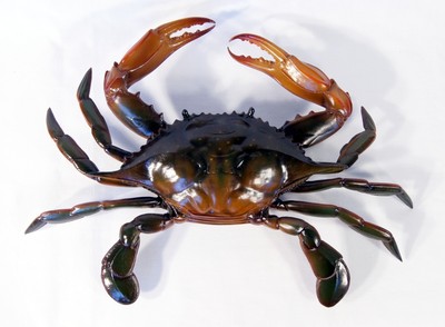 6 inch Dark Brown Blue Crab Beach Tiki Bar Wall Mount Decor Sculpture ...