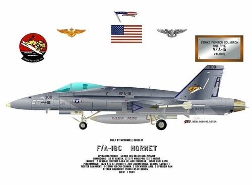 F/A 18C Hornet, VFA-15 Valions, US Navy Fighter/Attack Aircraft Print ...
