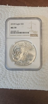 MS70 2018 American Silver Eagle NGC MS-70 COIN | eBay
