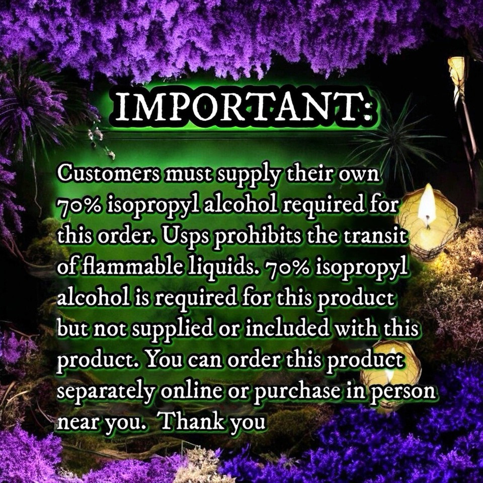 Wet Specimen Preserved Shark in a Bottle - Goth Decor Oddity Goth Gift ...