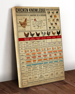 Chicken Knowledge Anatomy Of A Chicken Types Of Chickens Eggs Anatomy ...
