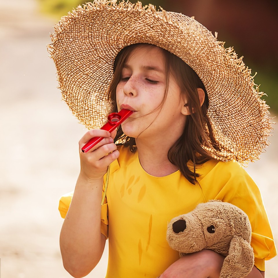 12PCS Kazoos Metal Kazoo Instrument Kazoo Trumpet Practice Kazoo For ...