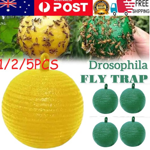 1-5X Hanging Fly Trap Ball Fruit Fly Catcher Sticky Trap Insect Bees ...
