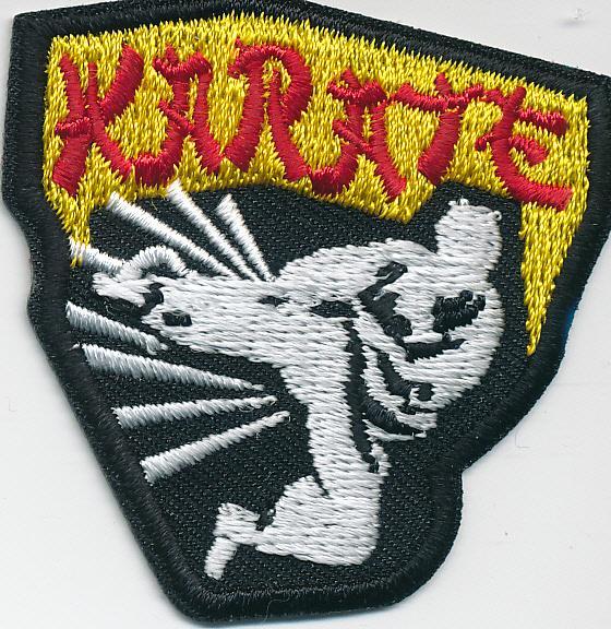 Girl Boy Cub KARATE class visit Fun Patches Crests Badges SCOUTS GUIDE ...