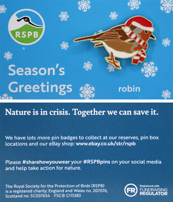 RSPB Pin Badge NIIC Robin hat and scarf Christmas Special P03003 | eBay UK