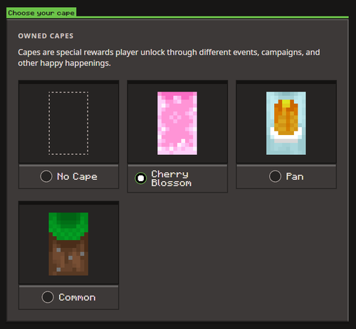 Minecraft Cherry Blossom Cape Account - Java and Bedrock Edition 🌸 | eBay