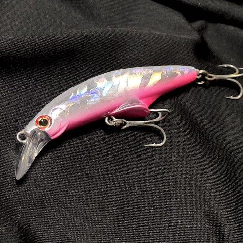 Jackson G Control 20 Flounder Food Lure | eBay