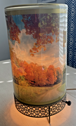 Very Rare -L.A. Goodman Autumn Round Motion Lamp 1956-Beautiful Working ...