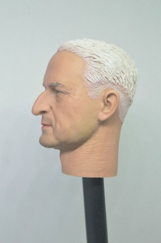 Custom 1/6 Erich von Manstein Head Sculpt for 12" Hot Toys COOModel ...