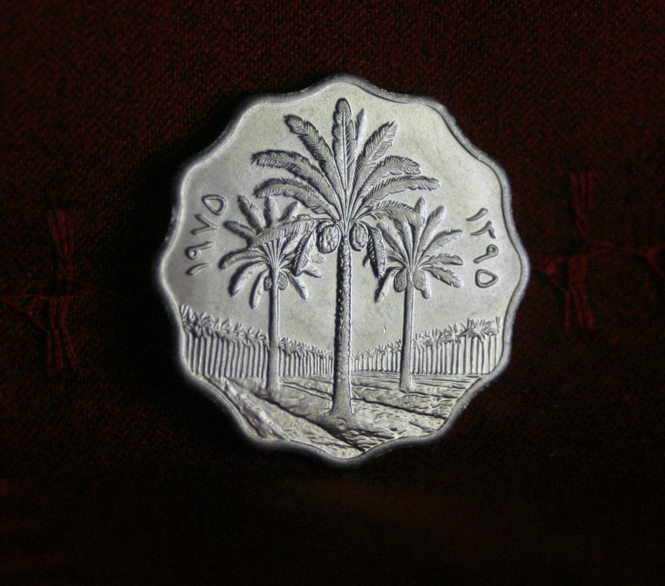 Iraq 10 Fils 1975 Unc World Coin KM126a Palm Trees Middle East | eBay