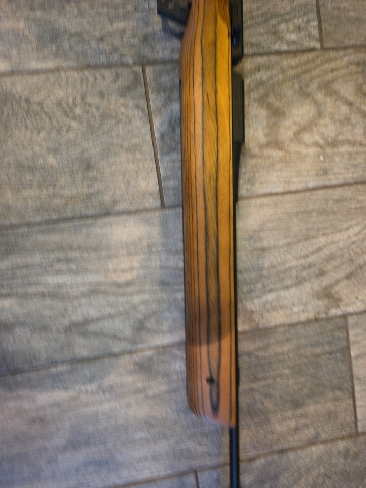 Daisy Avanti co2 Air Pellet Rifle .177 Caliber | eBay