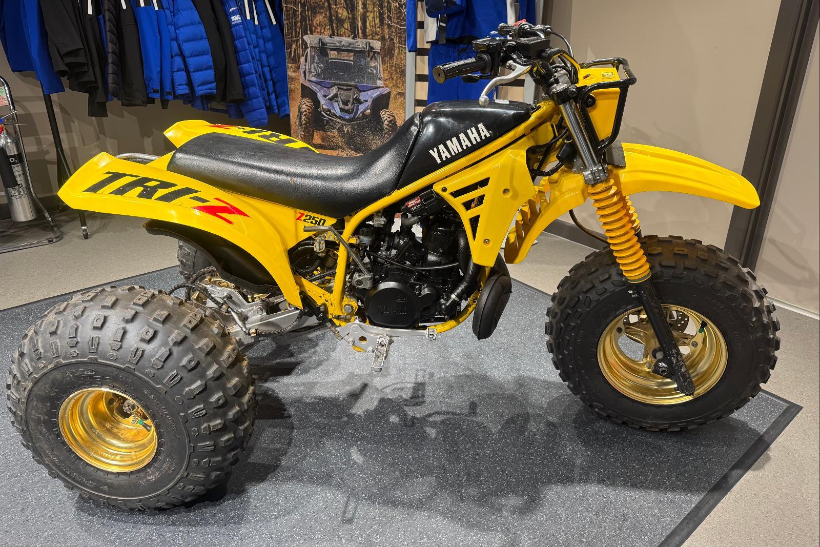 1985 Yamaha Tri Z 250 Trike - Bike Years - 1980s