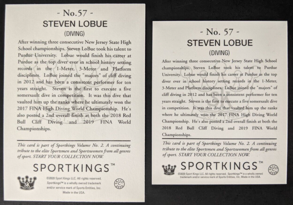 Steven LoBue 2021 Sportkings Volume 2 #57 Diving Card Insert Mini Black ...