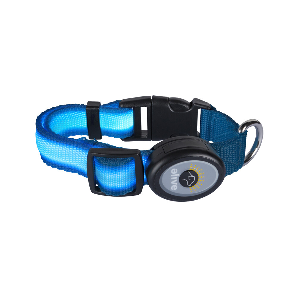 ELIVE LED DOG COLLAR SMALL LIGHT BLUE | eBay UK